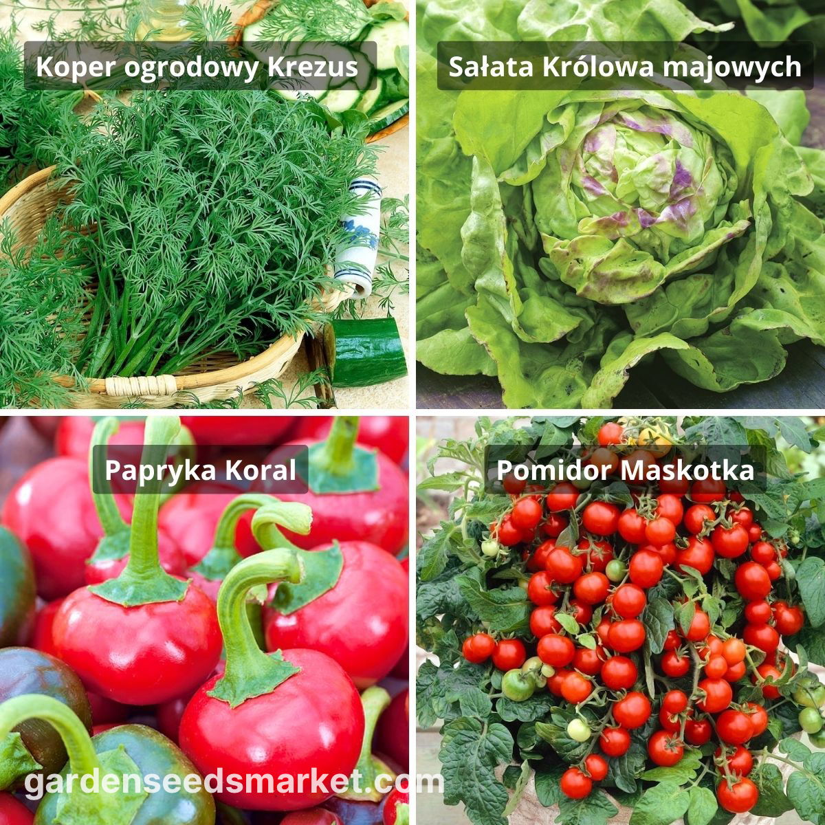 Balkonová zelenina - semena 4 odrůd rostlin - – Garden Seeds Market ...
