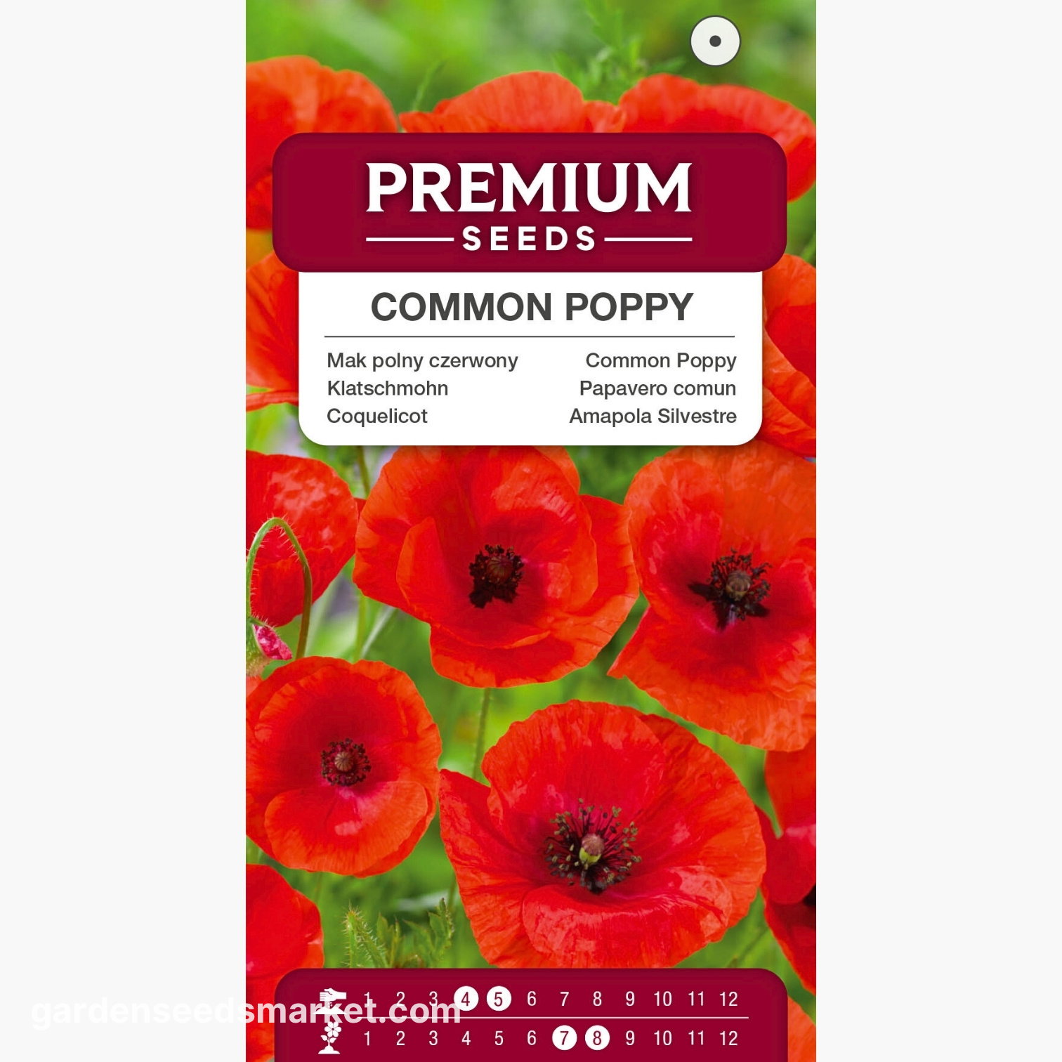 Common Poppy Seeds