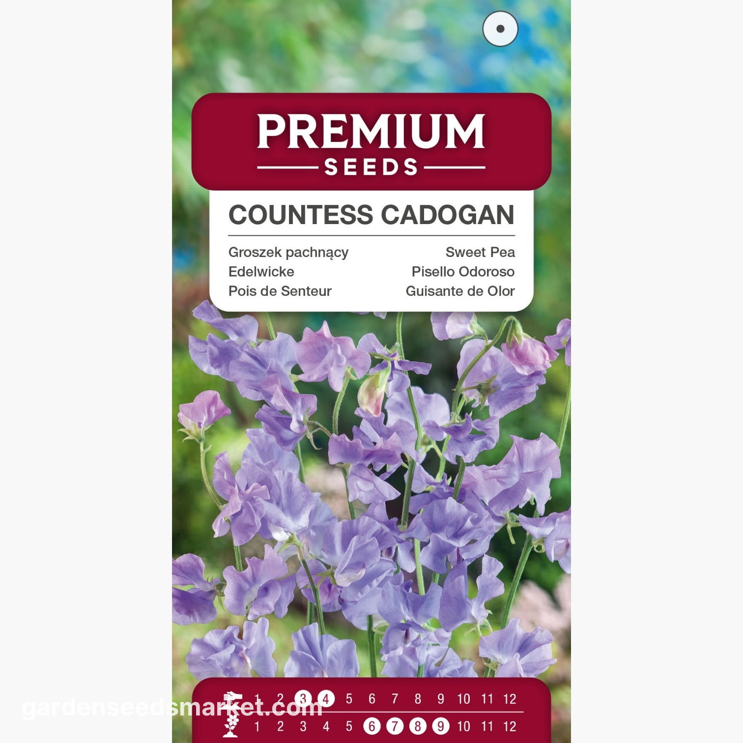 Sweet pea "Countess Cadogan" - 22 seeds – Garden Seeds Market | Free ...
