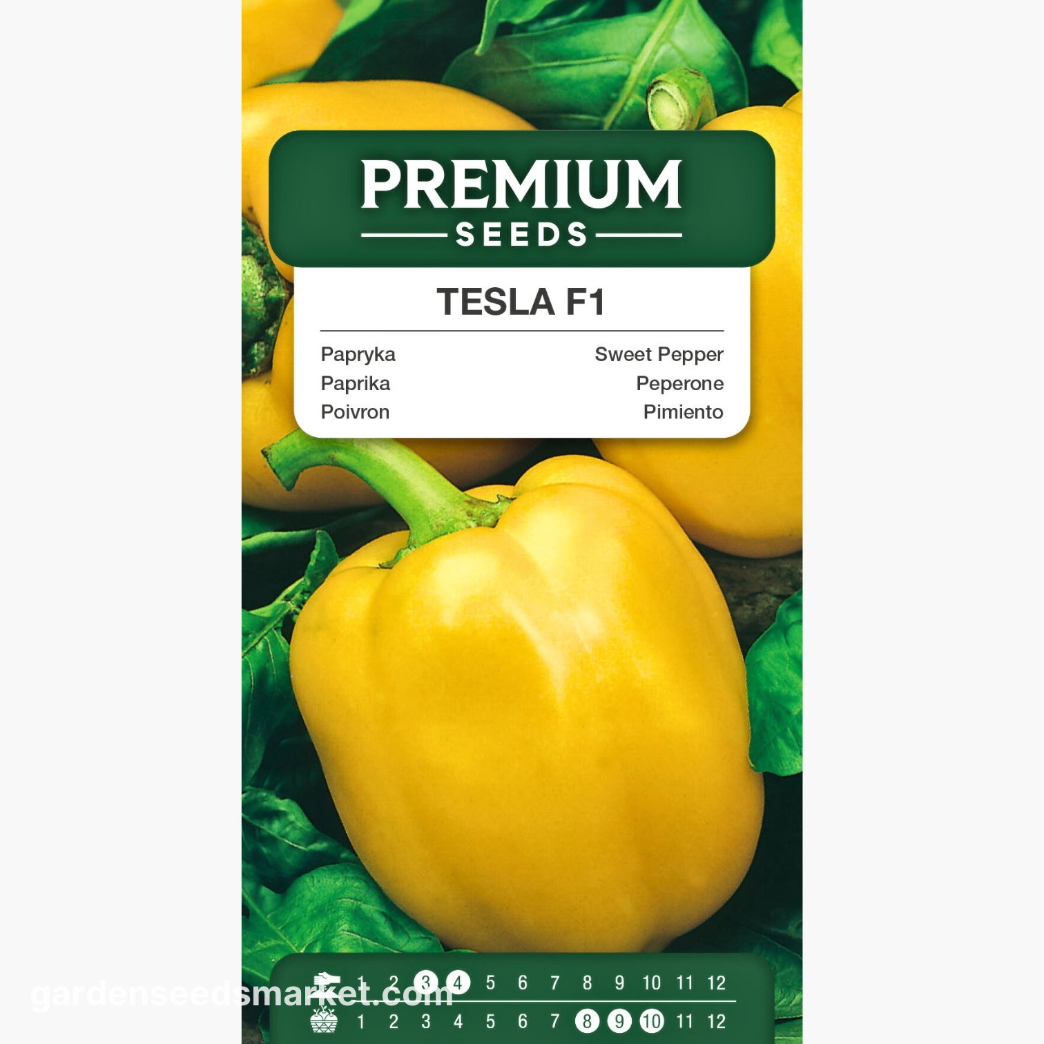 Sweet Pepper - Tesla F1 - High Yield, Perfect for Salads - Fresh Seeds ...