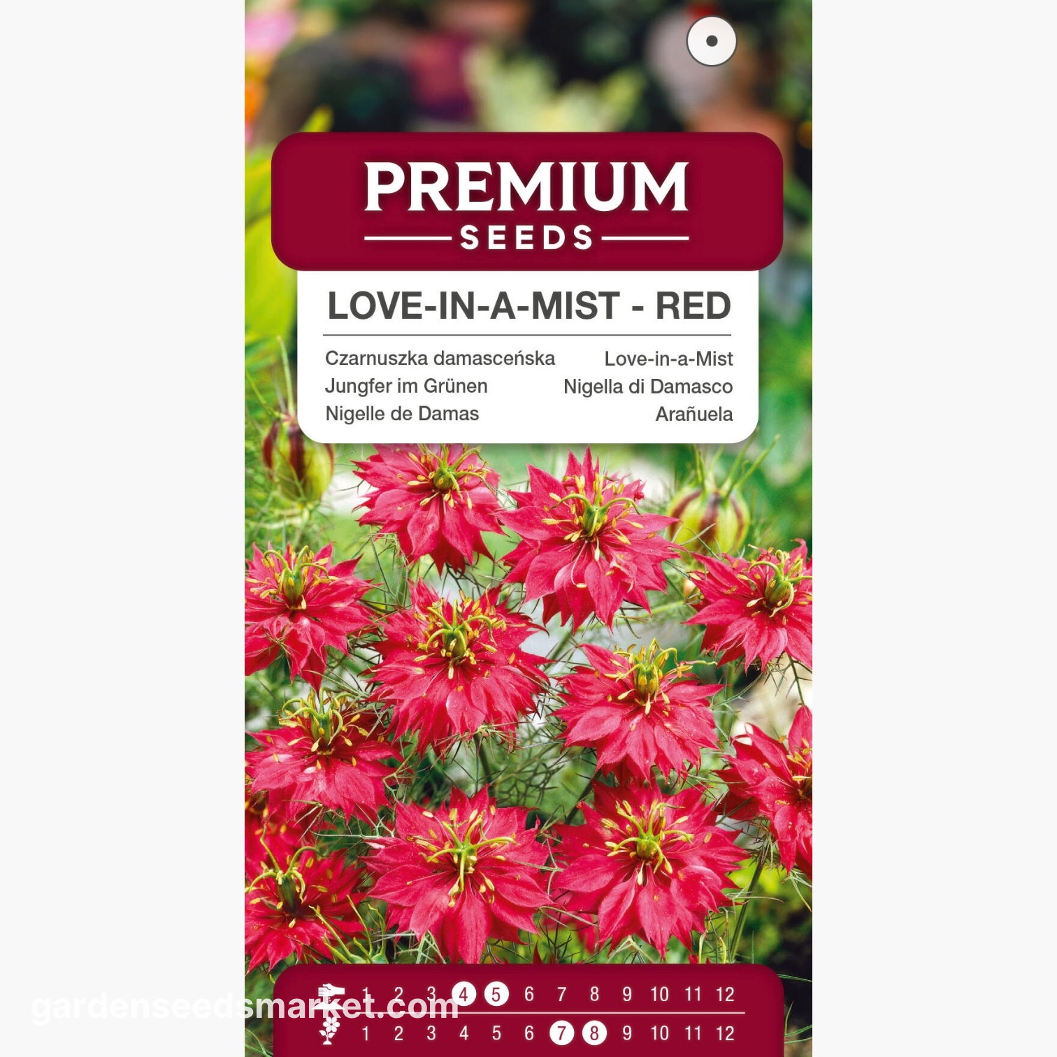 Love-in-a-Mist - red - Nigella damascena - Richest red hue, most ...